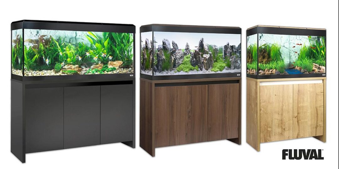 FLUVAL ROMA 240 COMPLETO CON MESA COLOR ROBLE | Sociedad Acuariófila ...